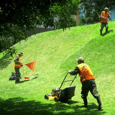 Mundo Grass Perú - Diseño e instalación