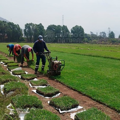 Mundo Grass Perú - Diseño e instalación